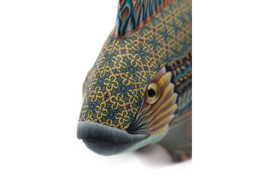 Bali Fish 2016 - animals23