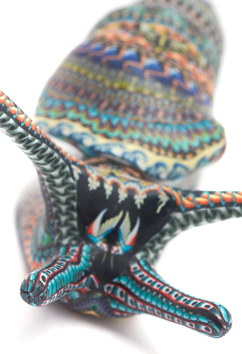 Hummingbird Snail - museum